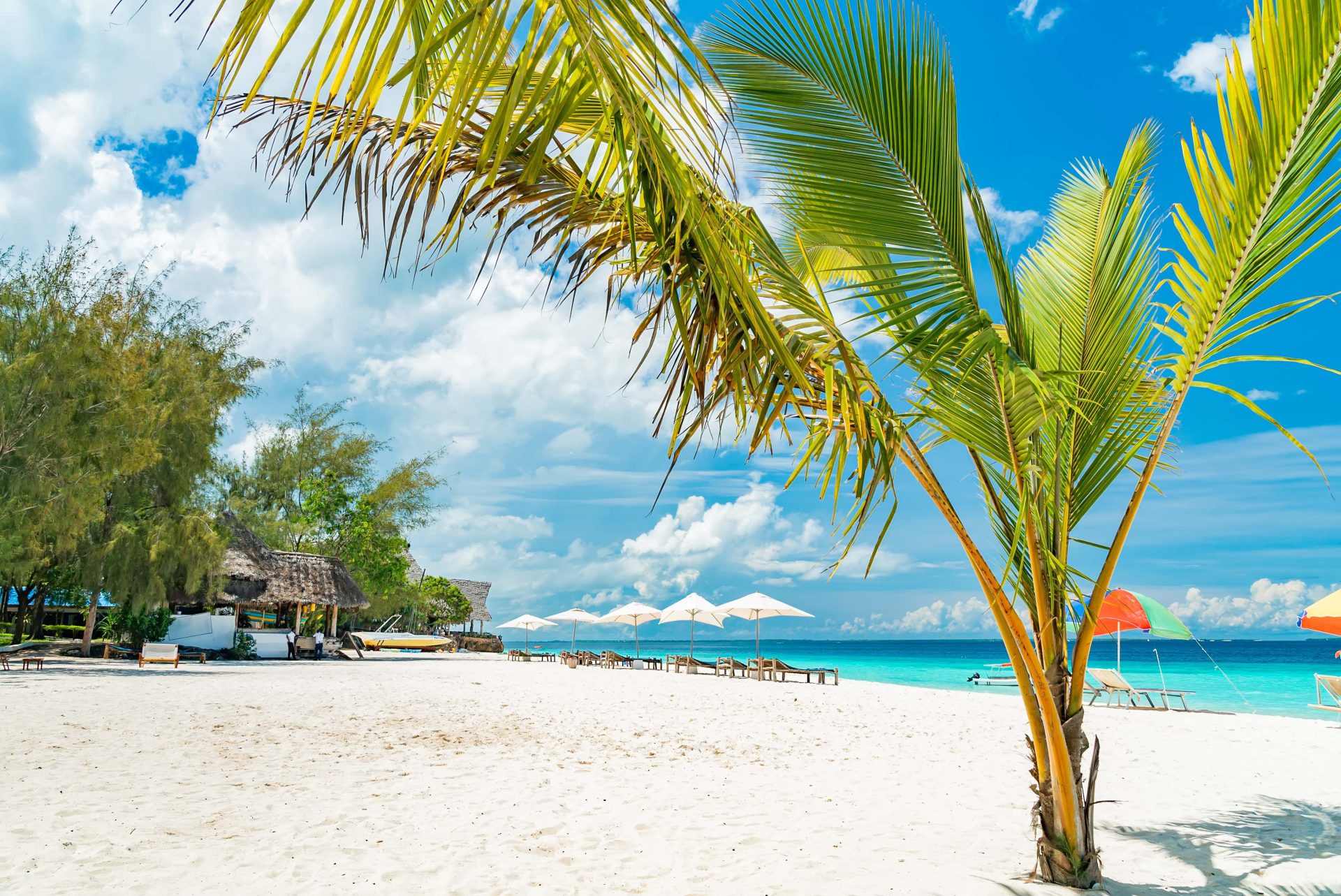 7 Amazing Things About Zanzibar In Summer - KONGA Kulture